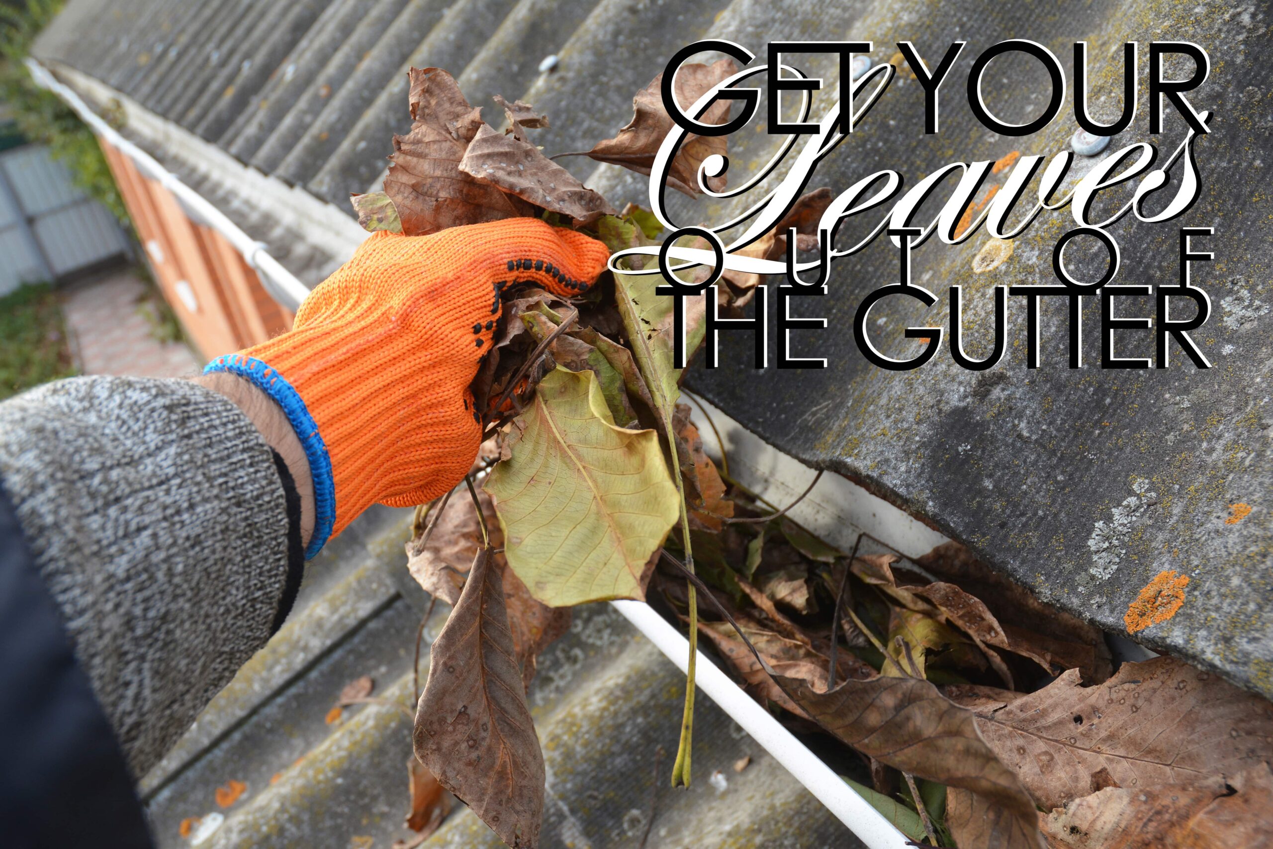 Get Your Leaves Out of the Gutter! – ICA Agency Alliance, Inc.